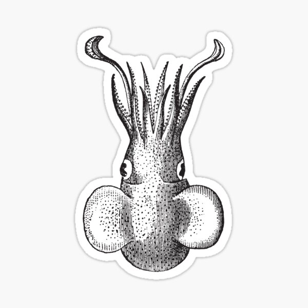 "Squid" Sticker for Sale by MixedBags | Redbubble