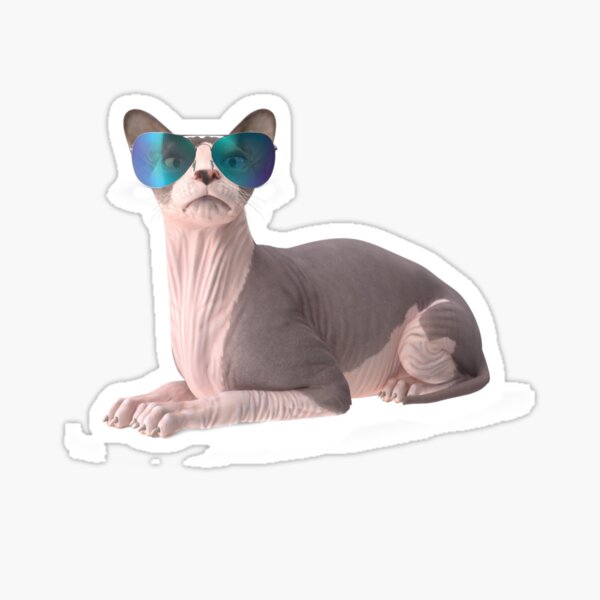 "Cat with glasses sticker " Sticker for Sale by SouthSideRags | Redbubble