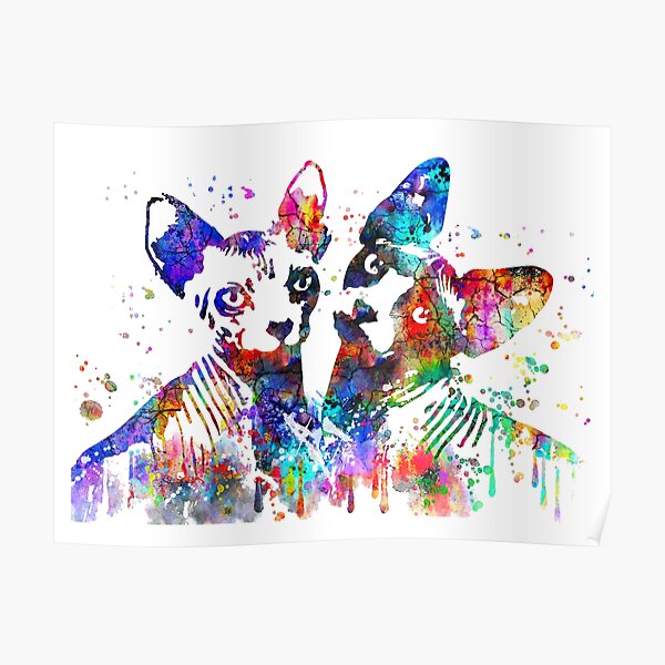 "Devon Rex" Poster for Sale by Rosaliartbook | Redbubble