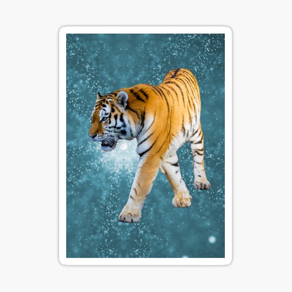 "Tiger Walk Color" Sticker for Sale by DavidSnyderArt | Redbubble
