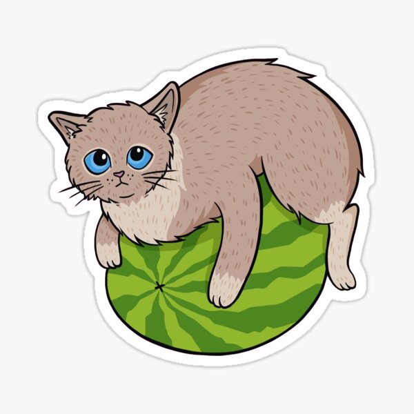 "watermelon cat" Sticker for Sale by Heckya | Redbubble