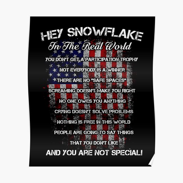 "Hey Snowflake In The Real World Veteran Military" Poster for Sale by ...