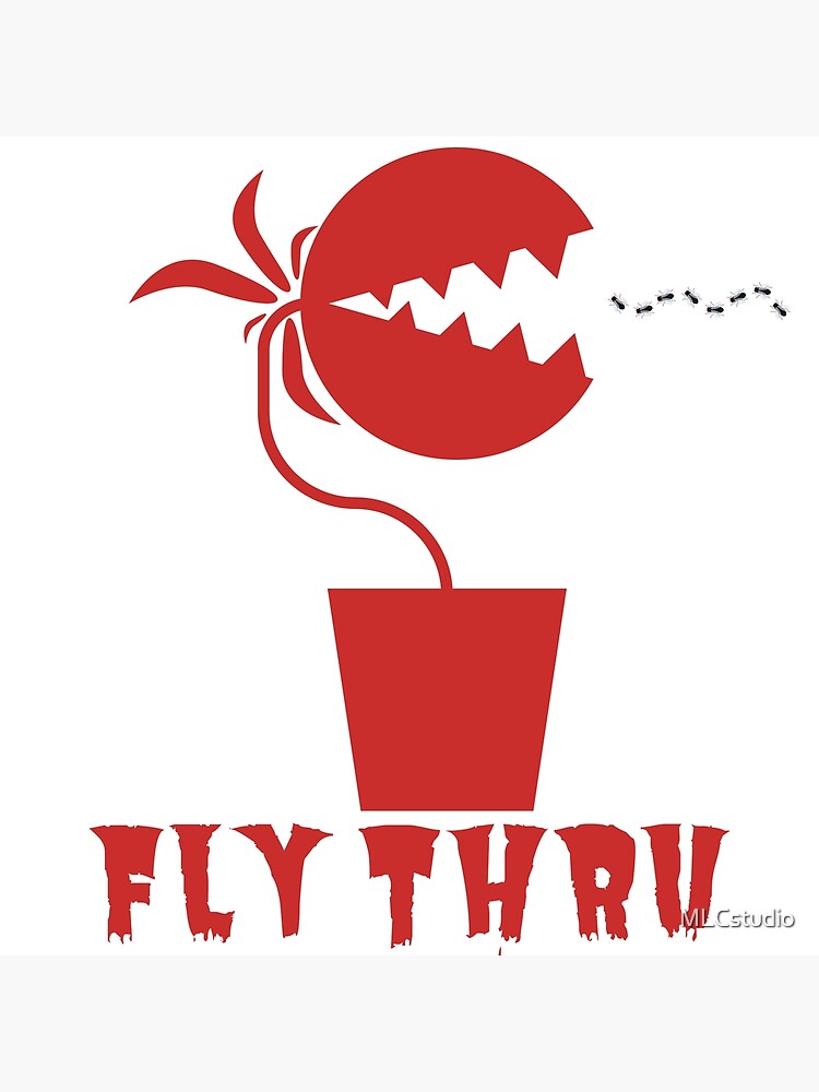 "Fly Thru" Poster for Sale by MLCstudio | Redbubble