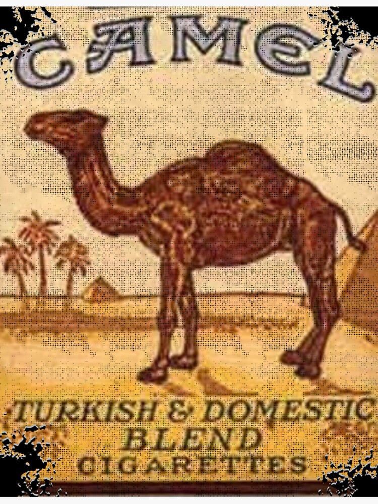"Camel Cigarettes " Sticker for Sale by MuffinTee | Redbubble