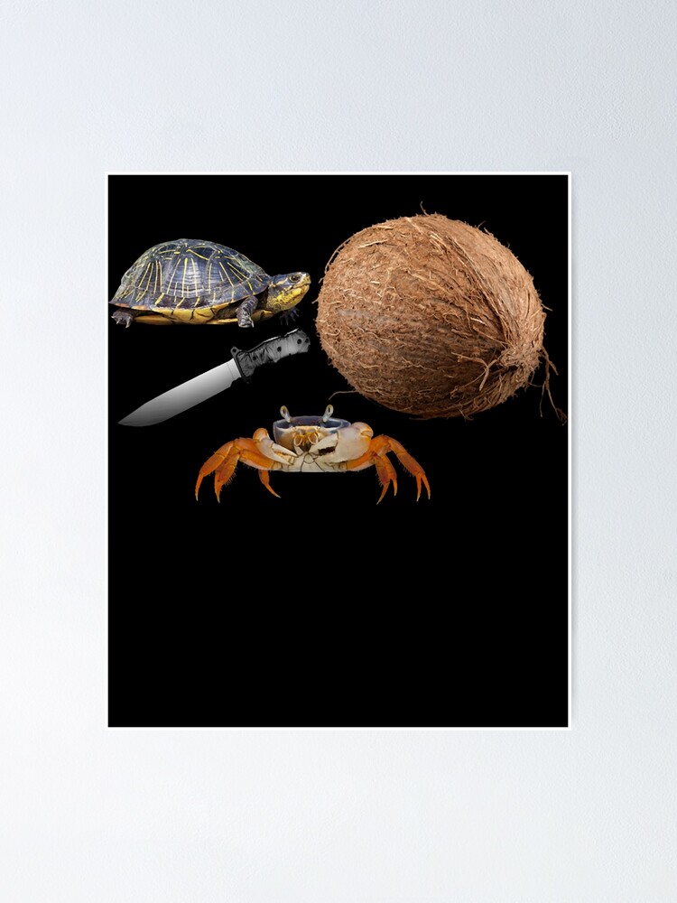 "I am very normal and fine and okay I like Pirates and Turtles with ...