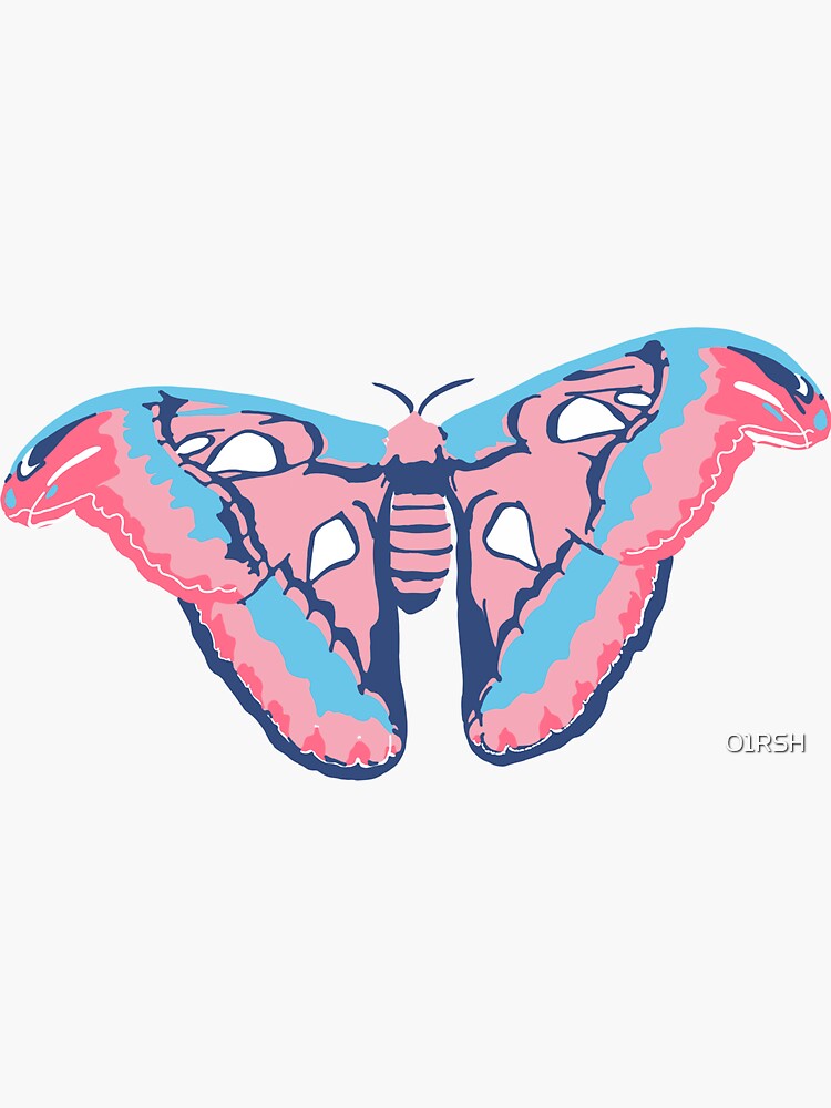 "Pride Moth - Transgender Flag" Sticker for Sale by O1RSH | Redbubble