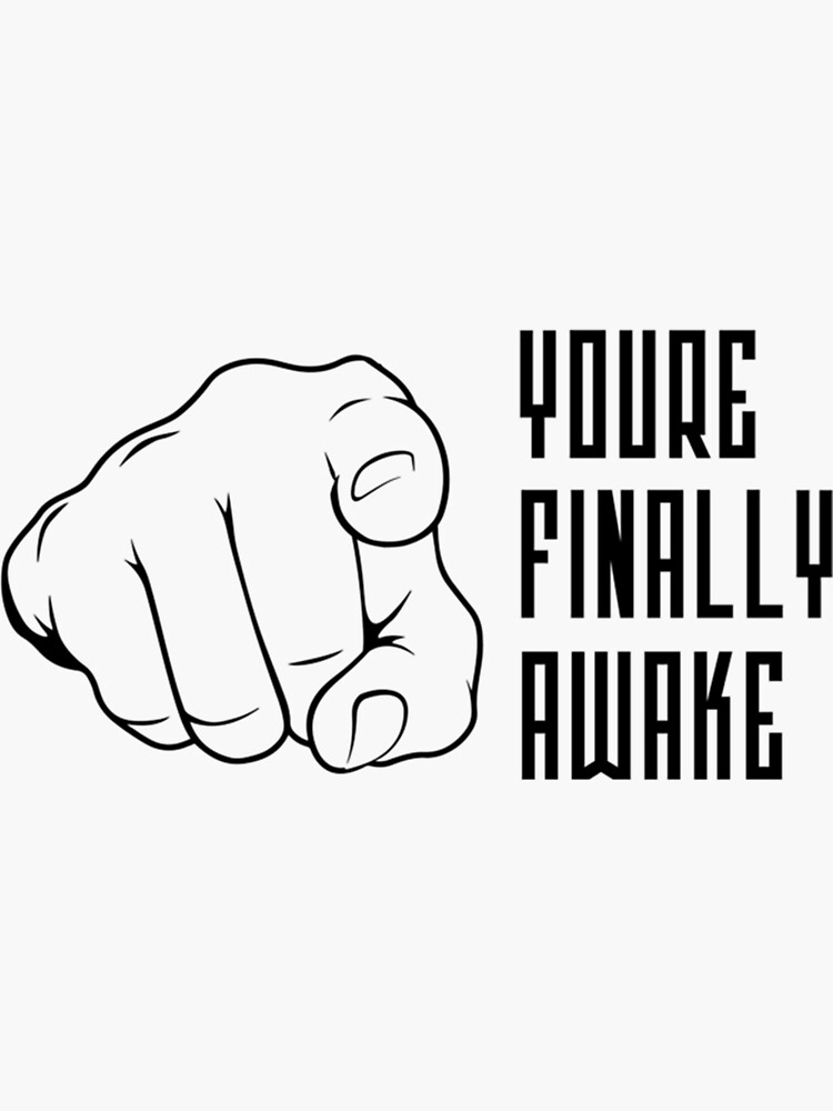 "hey you, you_re finally awake skyrim meme designs" Sticker for Sale by ...