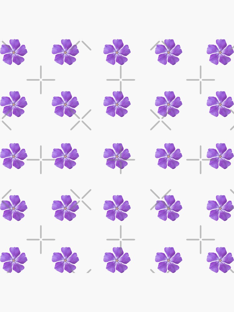 "Mini vinca major blossoms, violet flowers" Sticker for Sale by ...