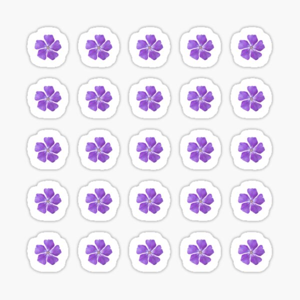 "Mini vinca major blossoms, violet flowers" Sticker for Sale by ...