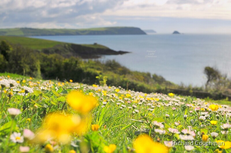 "" Buttercup Coast "" by Richard Couchman | Redbubble