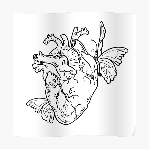 "Anatomical heart and butterflies" Poster for Sale by MoroshkaS | Redbubble