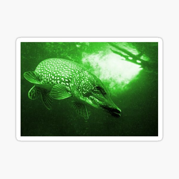 "Northern Pike" Sticker for Sale by GoodyOne | Redbubble
