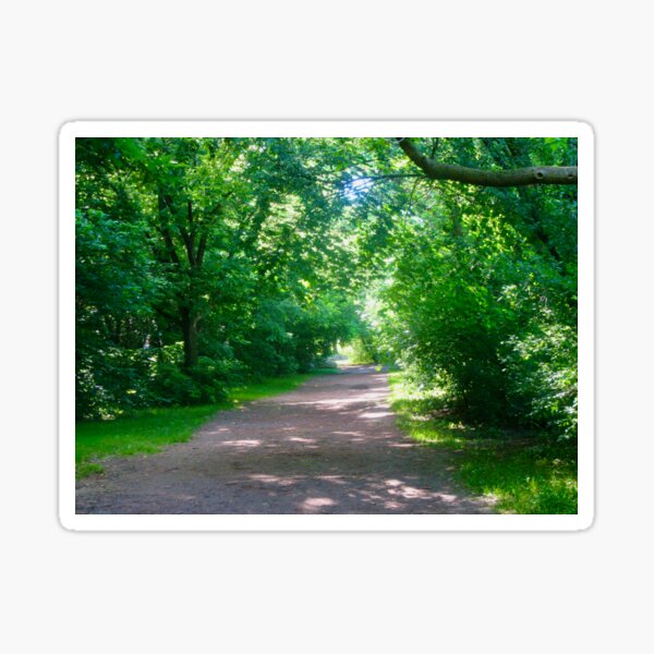 "Sunlit path" Sticker for Sale by Shulie1 | Redbubble