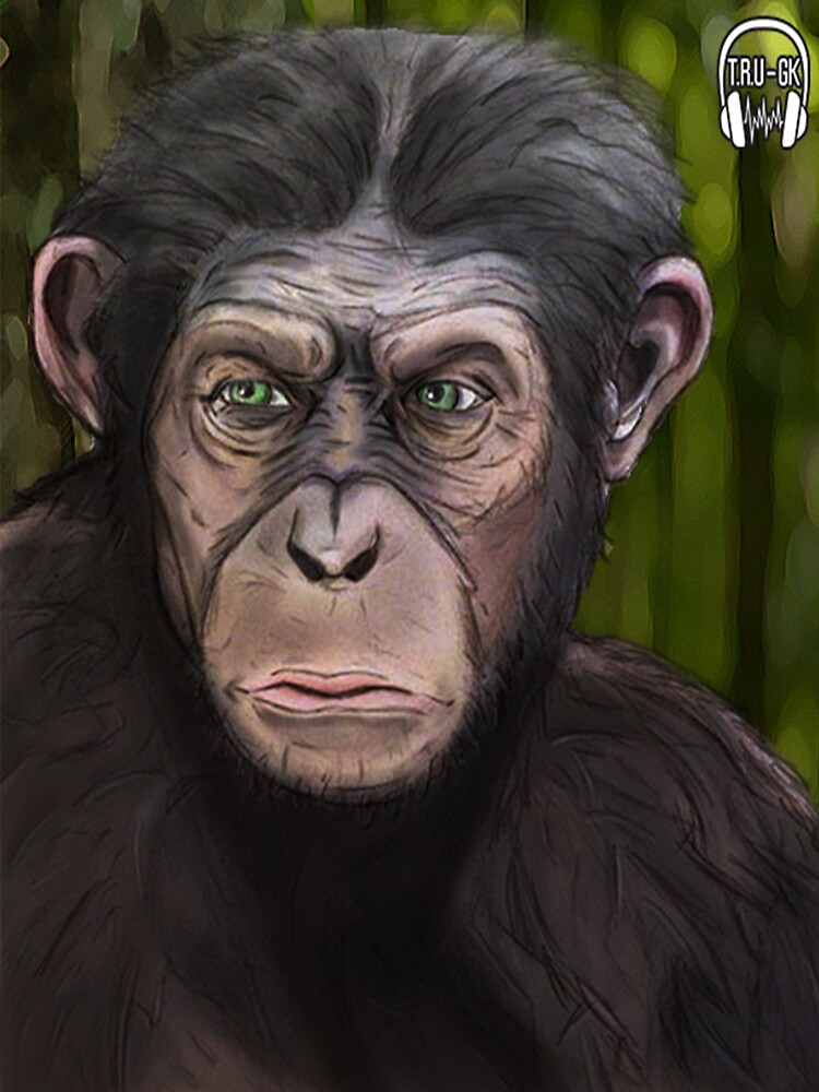 "CAESAR IS HOME" Sticker by trugk | Redbubble