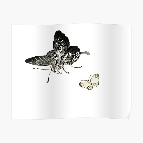 "butterflies" Poster for Sale by StaffDarkSide | Redbubble