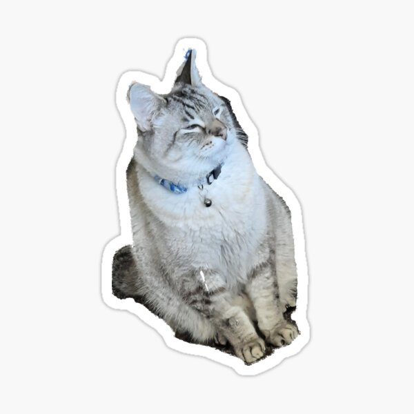 "High on life" Sticker for Sale by Whimsicalvixen | Redbubble