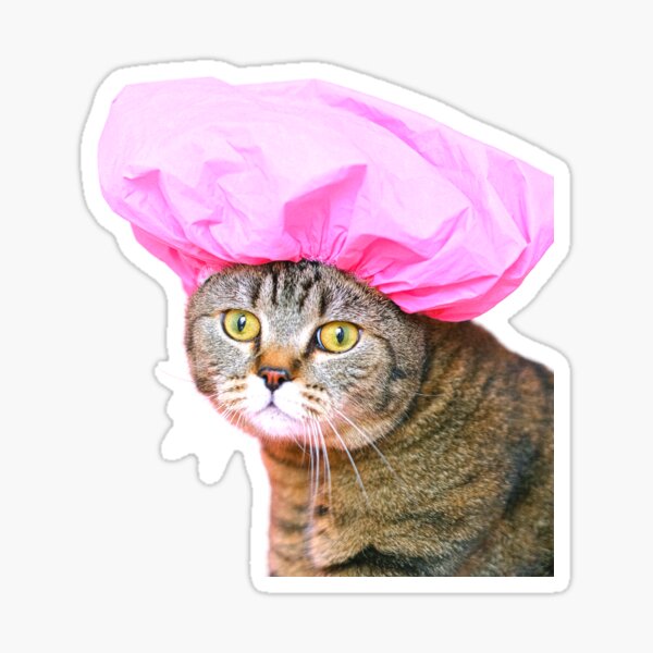 "Cat With Shower Cap" Sticker for Sale by EndlessValue | Redbubble