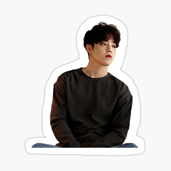 Seventeen S Coups Stickers | Redbubble