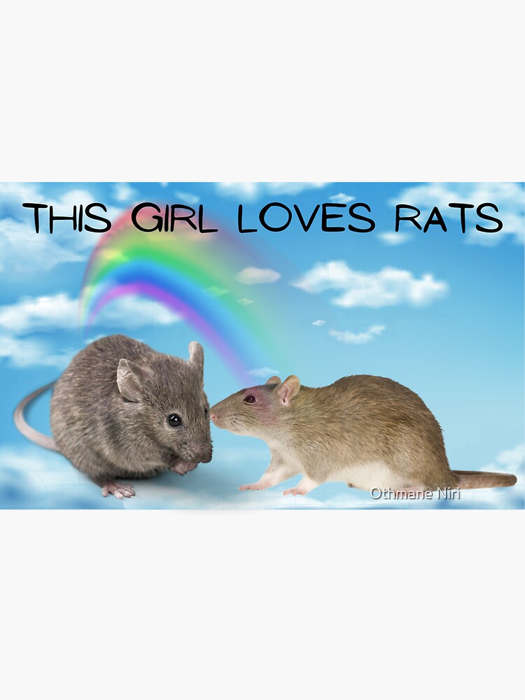 Pegatina «A esta chica le encantan las ratas Bumper, dos ratas ...