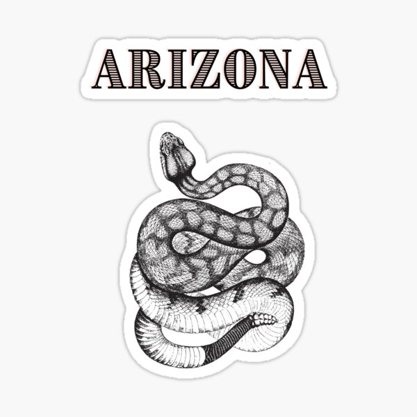 "Arizona Rattler" Sticker for Sale by FloridaKeys1984 | Redbubble
