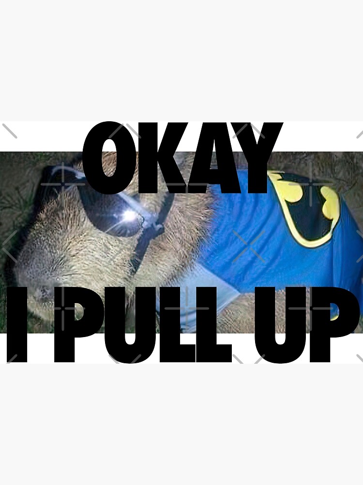 "Okay I Pull Up Capybara Meme" Canvas Print for Sale by zestyfiretruck ...