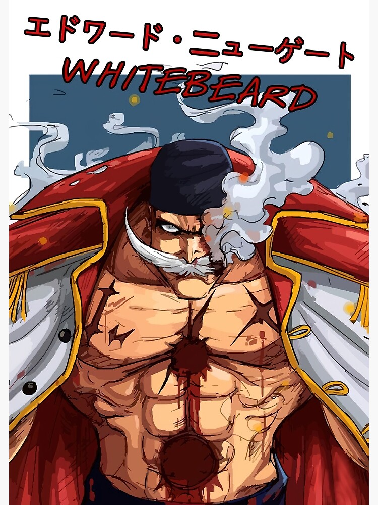 "Whitebeard" Poster for Sale by SandraKennedy | Redbubble