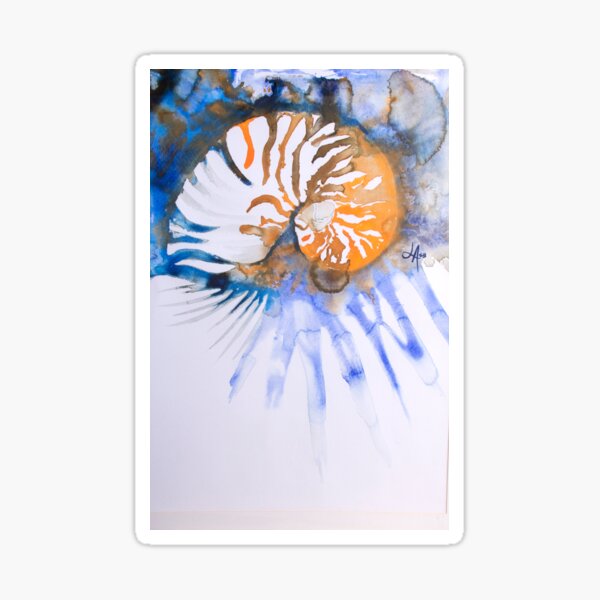"Nautilus" Sticker for Sale by LouiseASB | Redbubble
