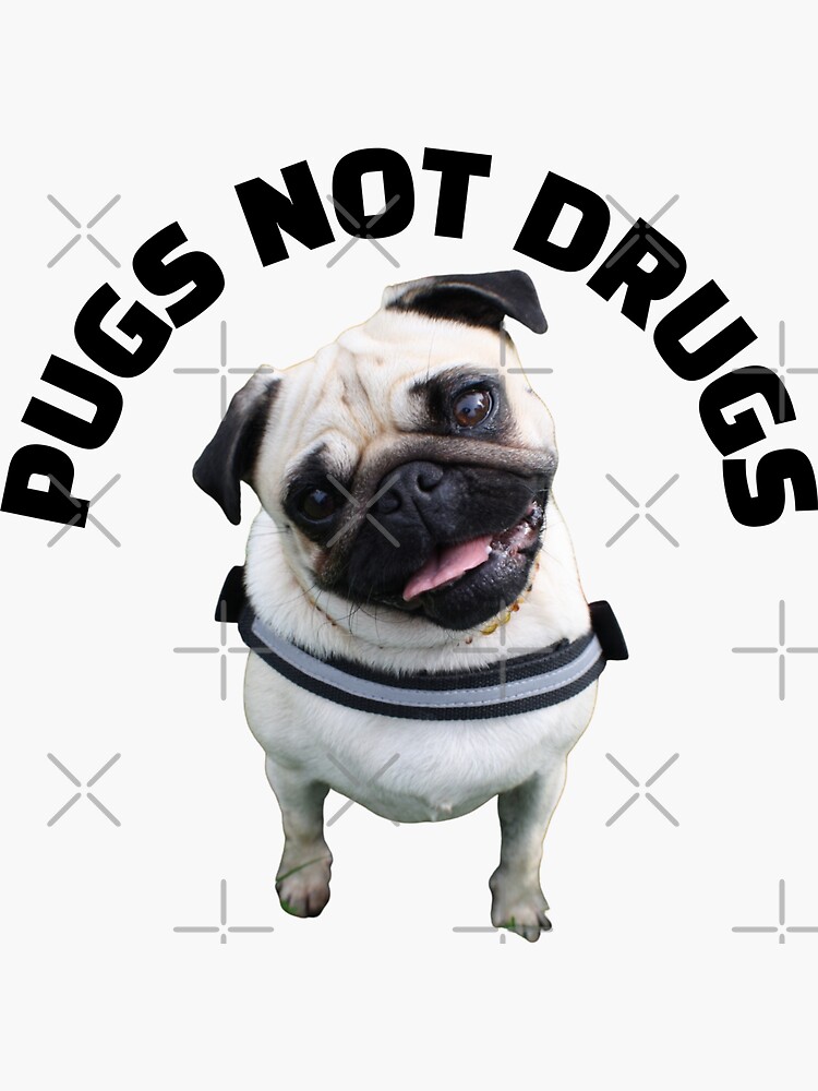 "pugs not drugs" Sticker for Sale by doggo-world | Redbubble