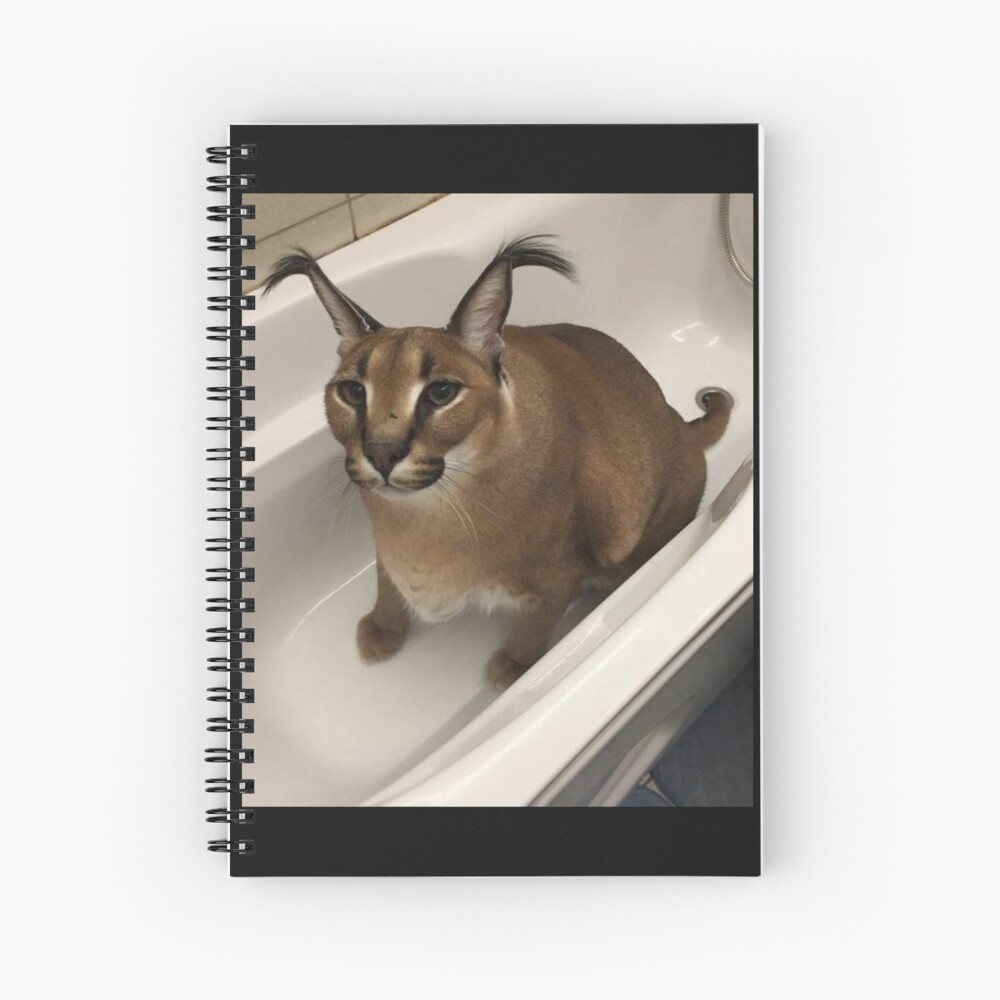 "Big Floppa Cat Meme" Spiral Notebook by momshow | Redbubble