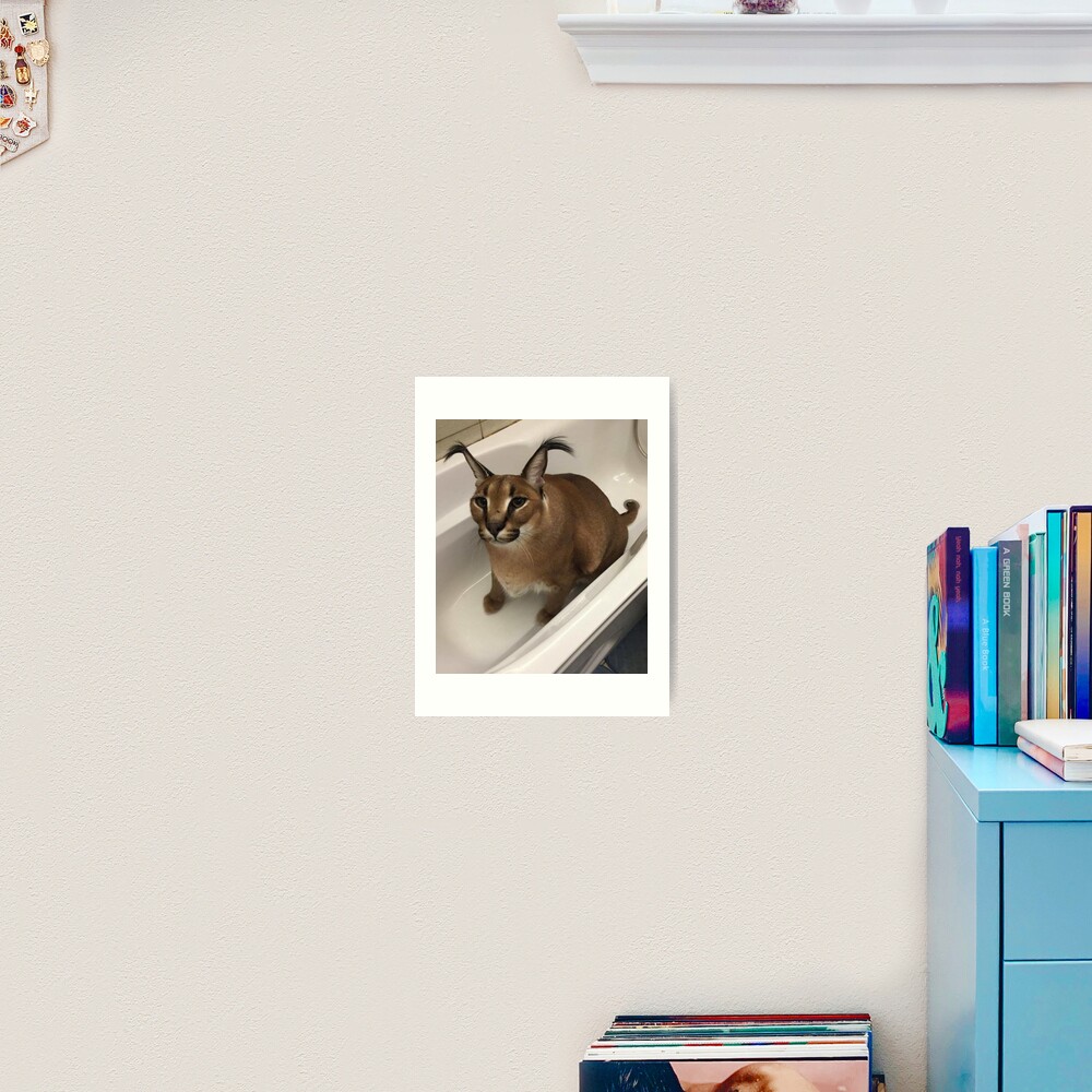 "Big Floppa Cat Meme" Poster for Sale by momshow | Redbubble