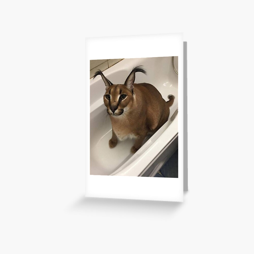 "Big Floppa Cat Meme" Greeting Card by momshow | Redbubble