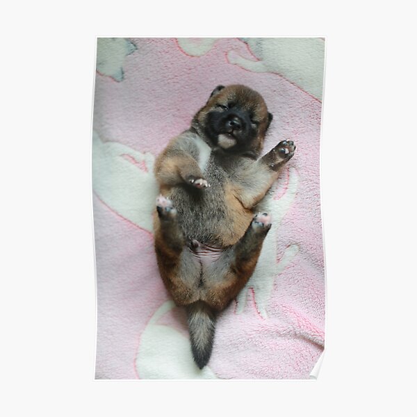 "when I squint at you" Poster by malina | Redbubble