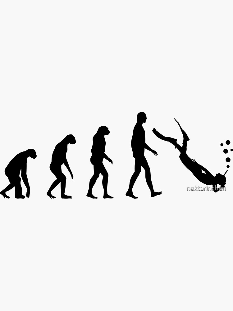 "Evolution dive" Sticker for Sale by nektarinchen | Redbubble