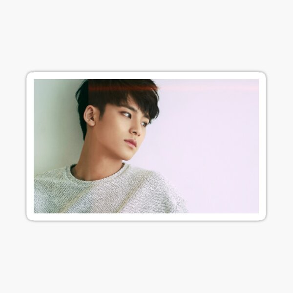 "Seventeen Mingyu Alone" Sticker for Sale by Lilyniki | Redbubble