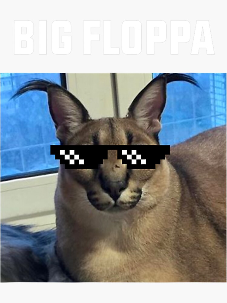 Pegatina «Gato grande del meme del floppa» de functionalpilaf | Redbubble