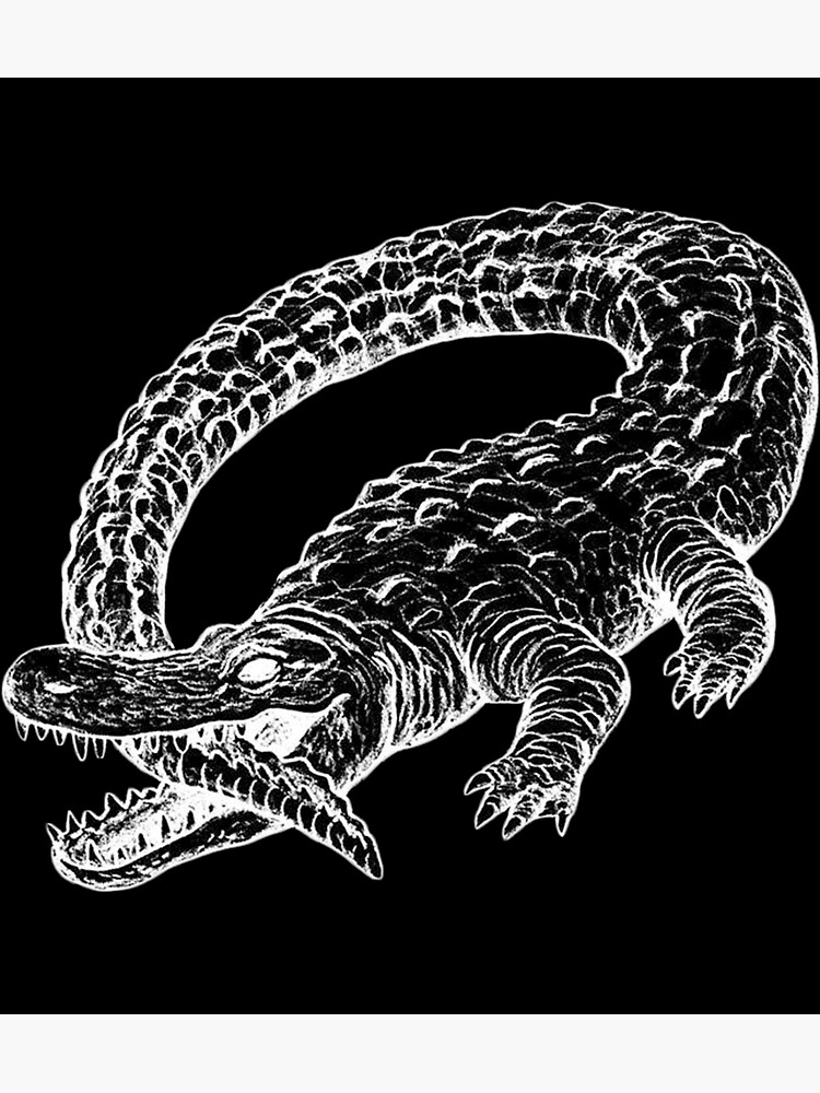 "Crocodile Catfish And The Bottlemen The Ride Sticker" Poster for Sale ...