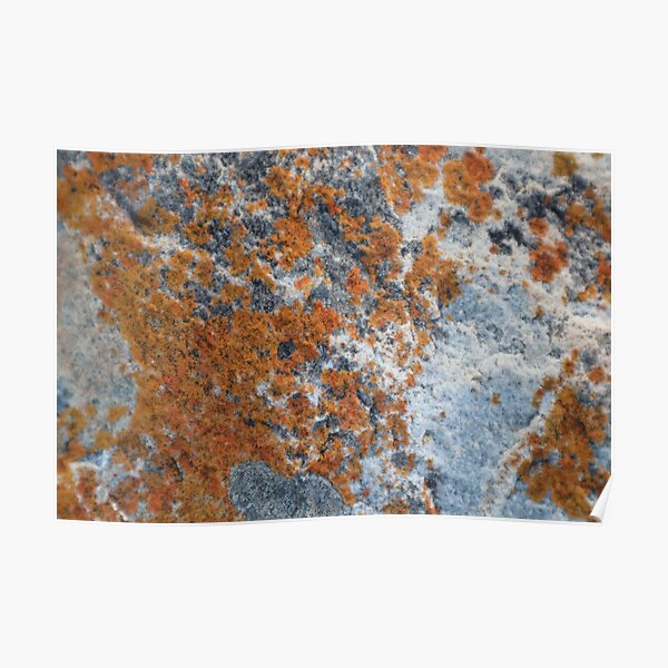 Póster «Rocas cubiertas de musgo texturizadas en la playa» de ...