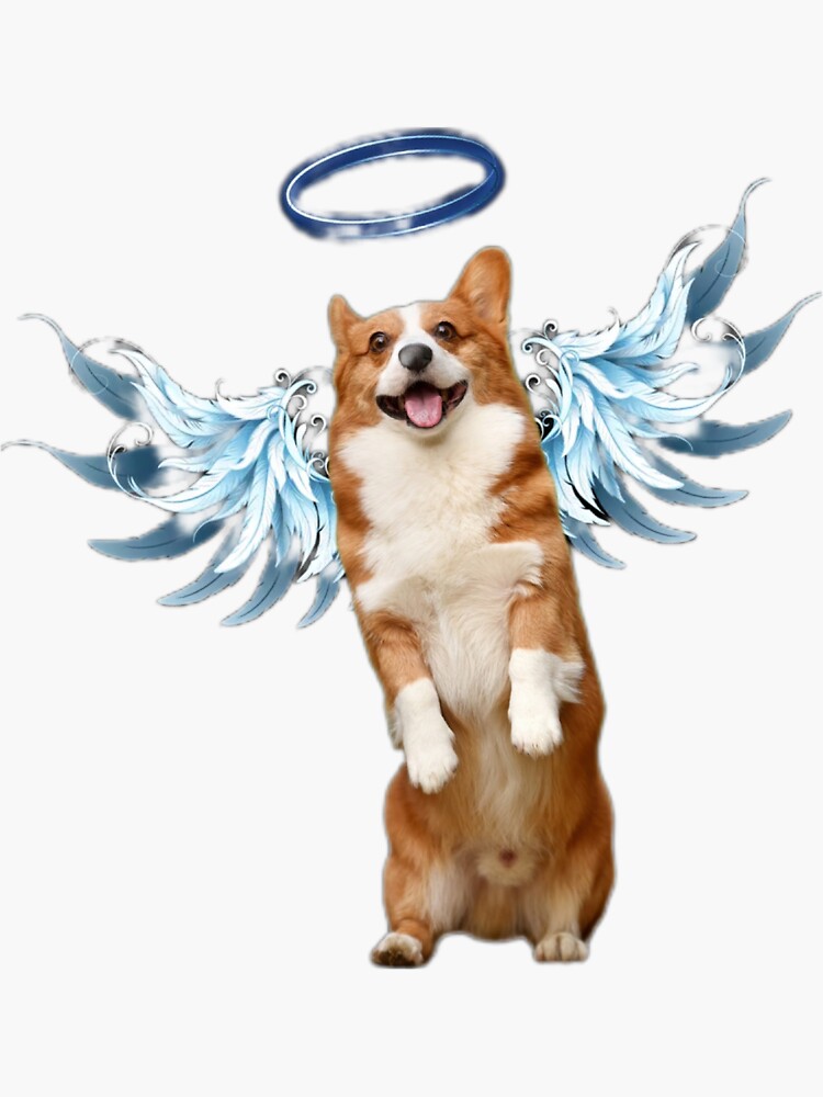 "Corgi Angel " Sticker for Sale by Alexandar19 | Redbubble