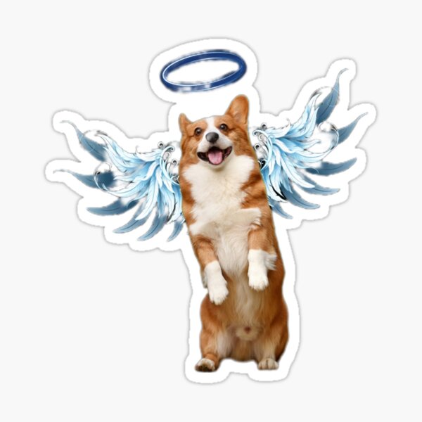 "Corgi Angel " Sticker for Sale by Alexandar19 | Redbubble