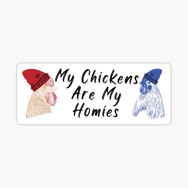 "My Chickens are My Homies Design 2" Sticker for Sale by Happy-Trails ...