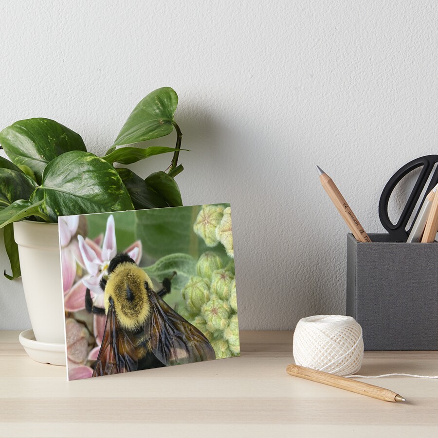 "Bumble Bee by Mark Ewing" Art Board Print for Sale by LifeSpice | Redbubble