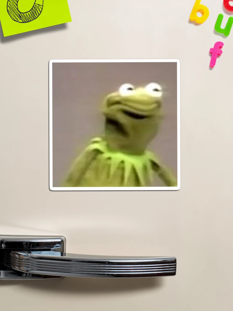 Kermit The Frog Meme Face