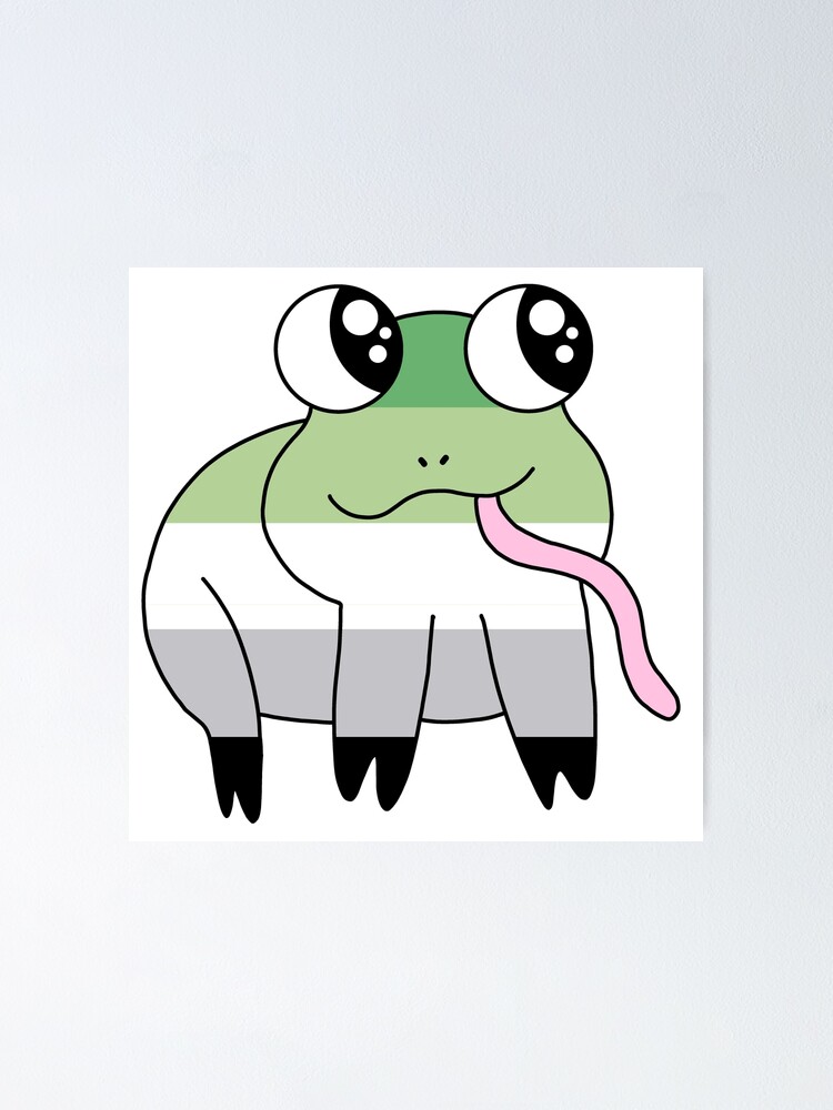 "Aro Frog Friend" Poster for Sale by Rainy-Kitten | Redbubble