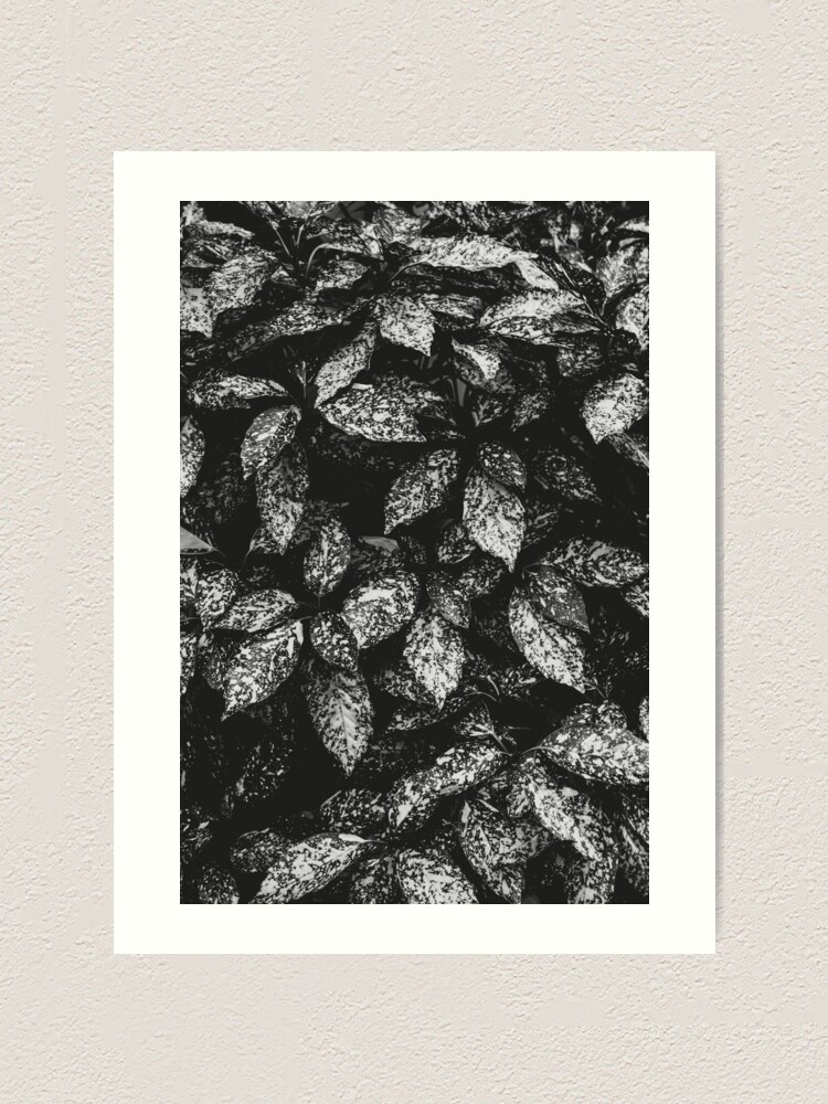 "Black and White Leafy Pattern - Positive and Negative Space" Art Print ...