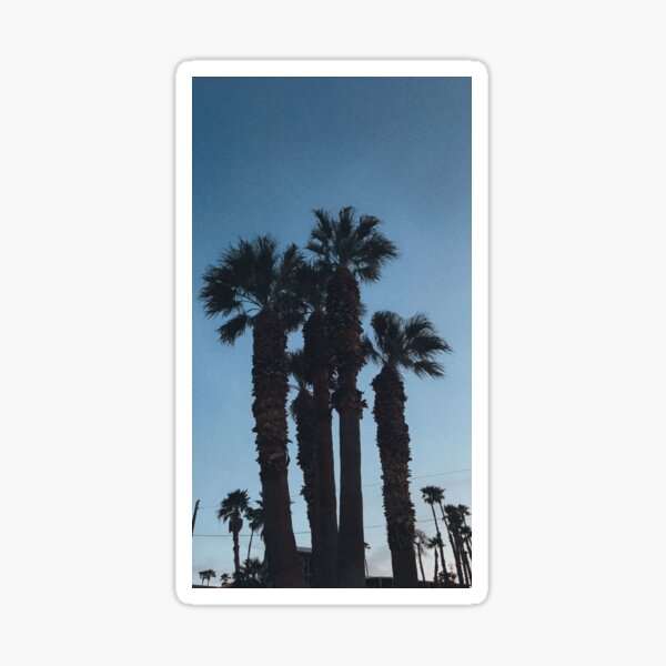 "Palm trees" Sticker for Sale by tacarn19 | Redbubble
