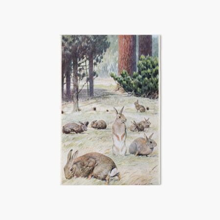 "Wild Rabbits Vintage Art" Art Board Print for Sale by StudioMollymook ...