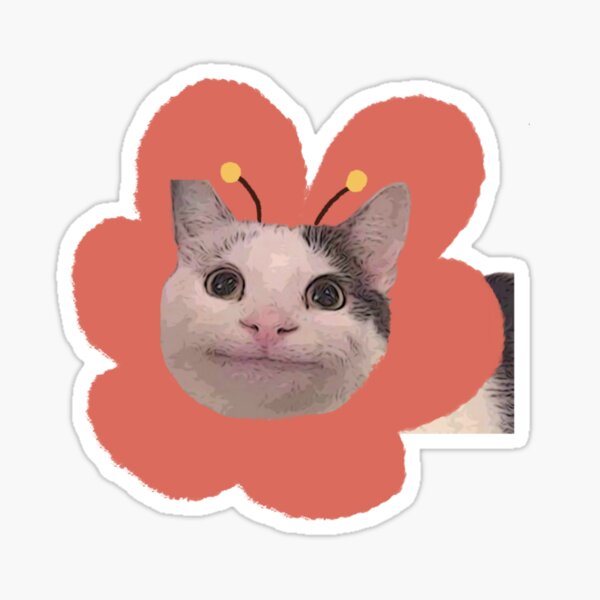 "Polite Cat Meme Sticker" Sticker for Sale by etdlphn | Redbubble