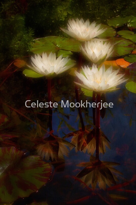 "Angelic lilies" by Celeste Mookherjee | Redbubble