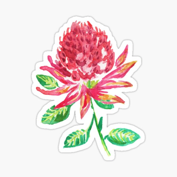 "Native Australian Flower " Sticker for Sale by UnicornTrinity | Redbubble