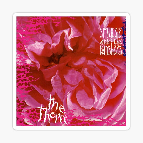 "the thorn" Sticker for Sale by potelnolan | Redbubble